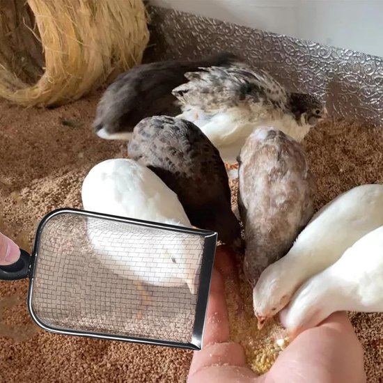 Kattenbakschep Metaal - Poepschep Zeef - Kattenbak Schoonmaken ...