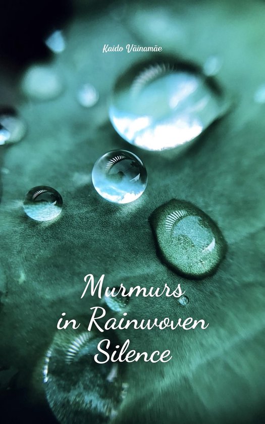 Murmurs in Rainwoven Silence (ebook), Kaido Väinamäe | 9789908174228 | Boeken | bol