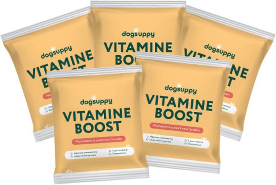 Vitamine boost gezonde snacks - 5 zakjes - 250 gram | bol