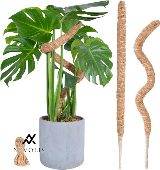 Nevolis Bendable Moss Stick for Plants - 23.6 inch - Monstera Moss ...