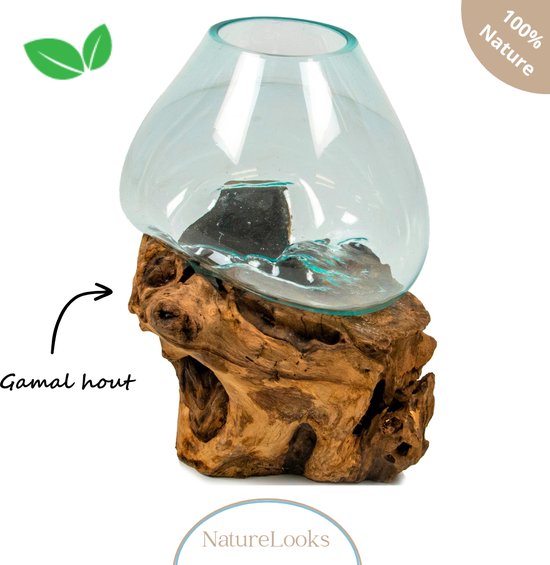 Glazen vaas op hout van gamal-wortel van 30cm | bol