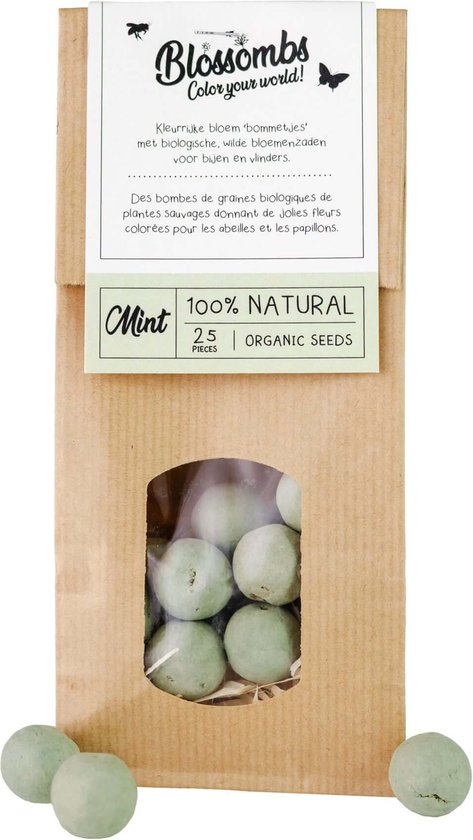 Blossombs Zaadbommetjes in Kraft Zak - 50 Bloembommetjes - Mintgroen ...