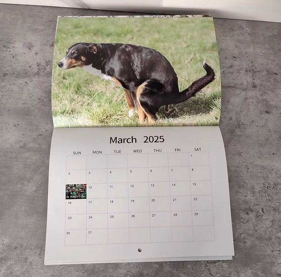 Schijtende Honden Kalender 2025 - Hondenpoep - Poep - Hond - Agenda | bol
