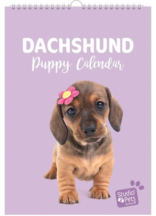 Studio Pets® A4 Teckel Honden Verjaardag Kalender Maandplanner! | bol