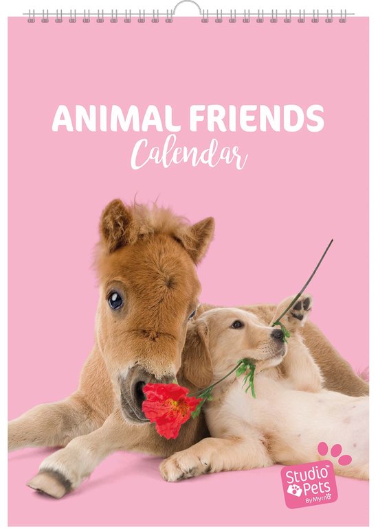 Studio Pets® A4 Baby Dieren Vrienden Verjaardag Kalender Maandplanner ...