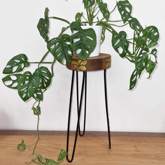 Ronde Plantentafel - Albasia Houten Plantenstandaard - Hout & Gouden ...