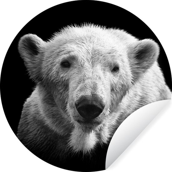 WallCircle - Muurstickers - Behangcirkel - IJsbeer - Dier - Zwart - Wit - 100x100 cm -... | bol