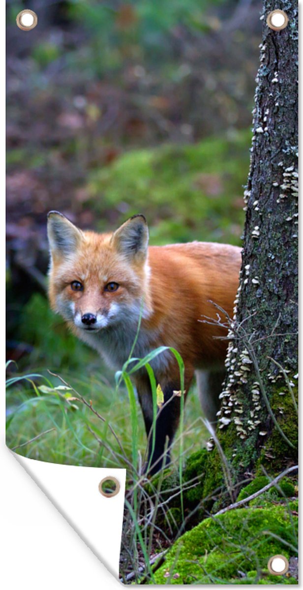 Décoration murale extérieure Renard - Arbre - Animal de la forêt ...