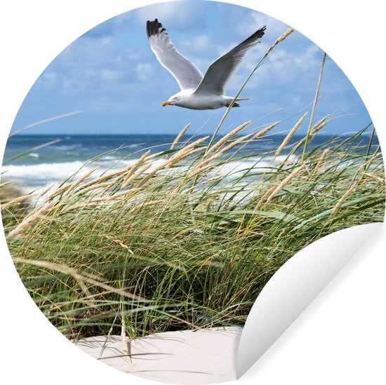 WallCircle - Muurstickers - Behangcirkel - Strand - Planten - Vogel - 100x100 cm -... | bol