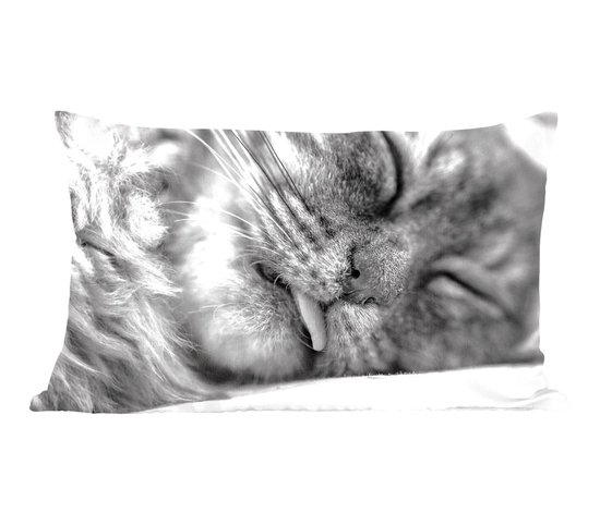 Close-up van een slapende langharige grijze kat - zwart wit | bol