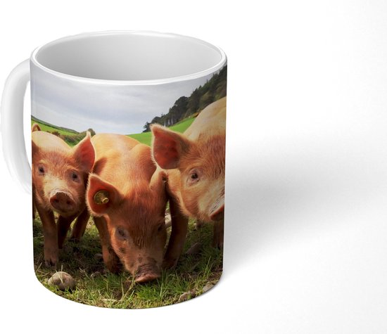 Mok - Koffiemok - Varkens - Big - Dieren - Mokken - 350 ML - Beker ...