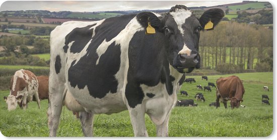 Bureaumat - Koe - Berg - Gras - Dieren - 80x40 - Muismat | bol