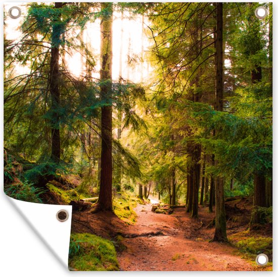 Tuindoek Bos - Pad - Bomen - Groen - Zon - Natuur - 100x100 cm | bol.com