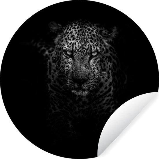 WallCircle - Muurstickers - Behangcirkel - Luipaard - Zwart - Wit - 100x100 cm -... | bol