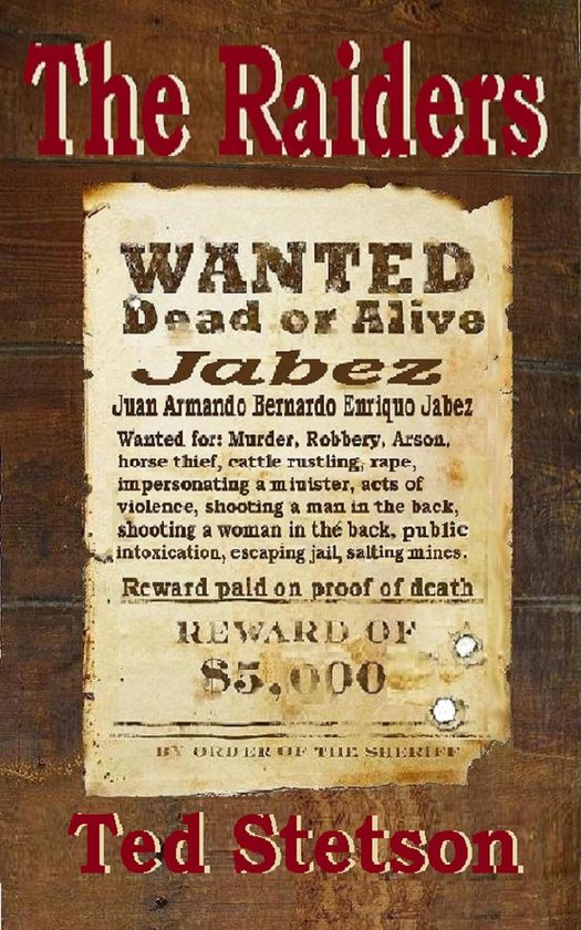 Western - The Raiders (ebook), Ted Stetson | 9780463266373 | Boeken ...