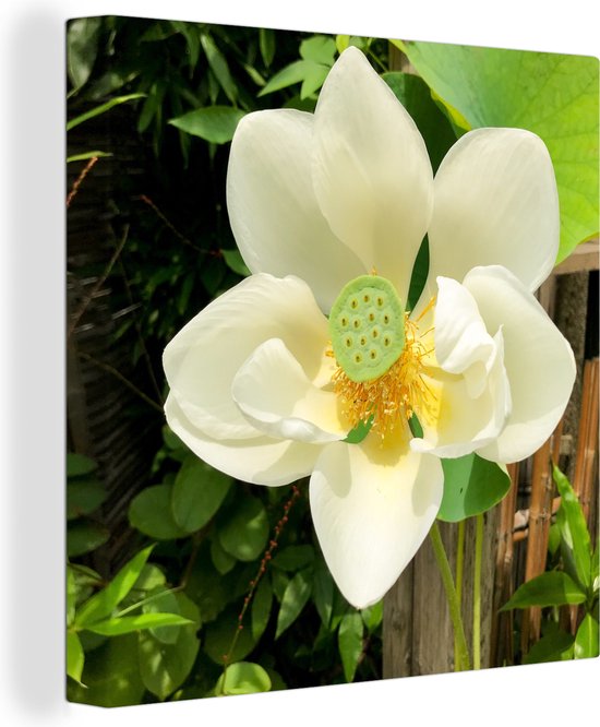 Canvas Schilderij Witte lotus in de tuin - 90x90 cm - Wanddecoratie | bol