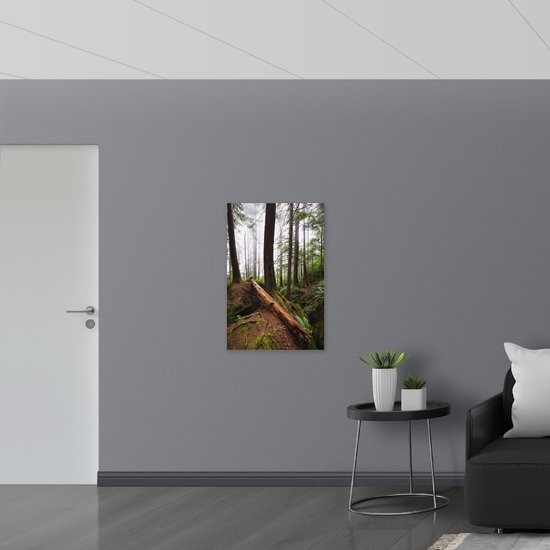 WallClassics - Hout - Liggende Boomstam in Heuvelachtig Bos - 60x90 cm ...