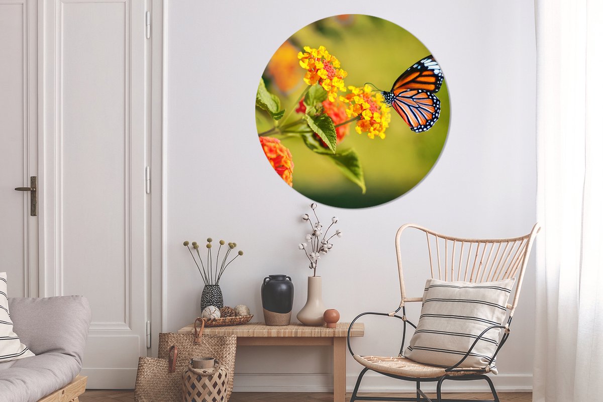 WallCircle - Muurcirkel - Wandcirkel - Vlinders - Bloemen - Natuur - Oranje -... | bol.com