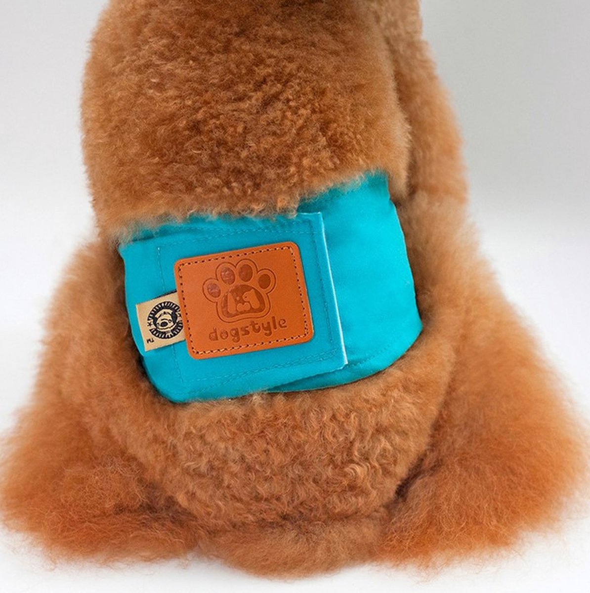 Hondenluier voor een Grote hond - Luier voor reu - Buikband maat XL 58 ...