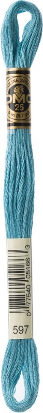 DMC Borduurgaren-597 Aqua | bol.com
