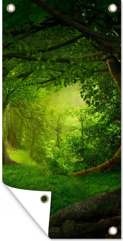 Schuttingposter Bomen - Bos - Groen - Landschap - Natuur - 100x200 cm ...