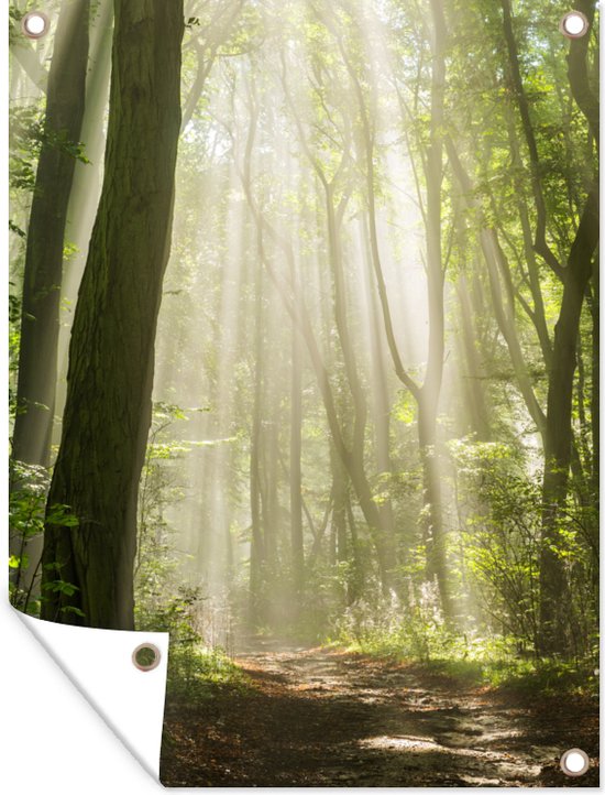 Tuin decoratie Bos - Licht - Natuur - Landschap - 30x40 cm - Tuindoek ...