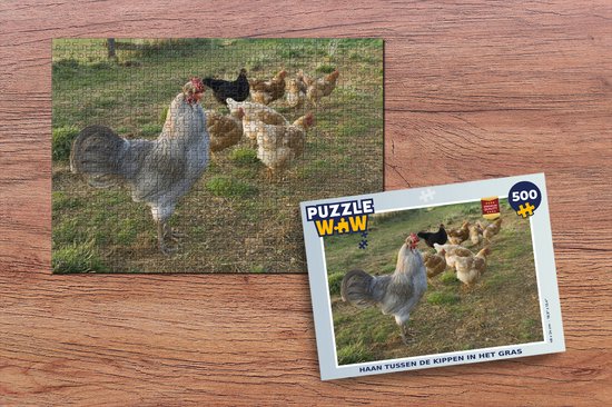 Puzzel Haan tussen de kippen in het gras - Legpuzzel - Puzzel 500 ...