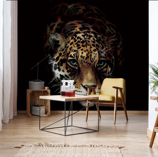 Fotobehang - Vlies Behang - Jaguar - Luipaard - Panter - Zwarte achtergrond - 460 x 300 cm | bol