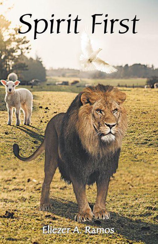 Spirit First (ebook), Eliezer a Ramos | 9781973671442 | Boeken | bol.com