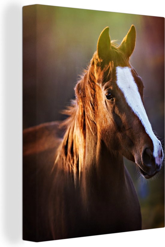 Canvas Schilderij Portret van een bruin paard in de zon - 30x40 cm - Wanddecoratie | bol.com
