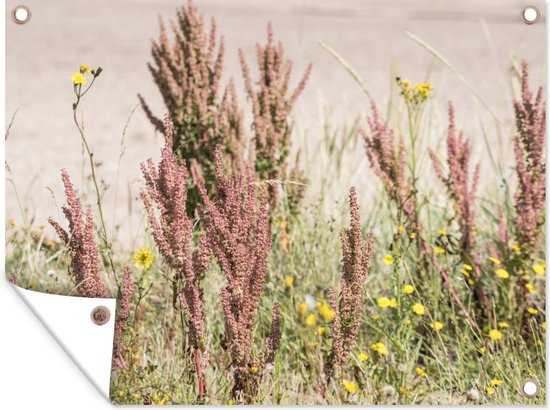 Tuin decoratie Wilde zuring in volle bloei in de natuur - 40x30 cm ...