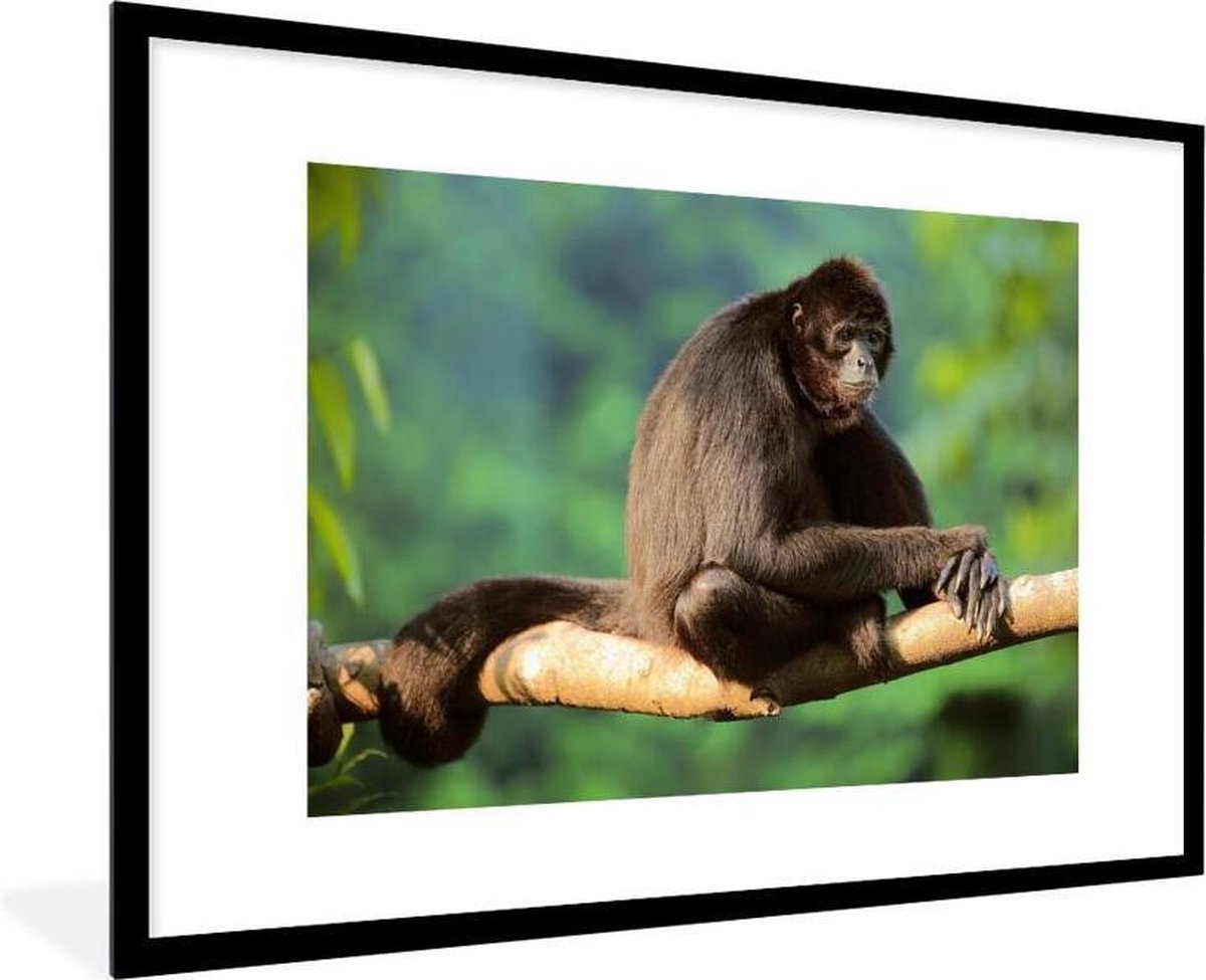 Fotolijst incl. Poster - tekening van een slingeraap op een tak ...