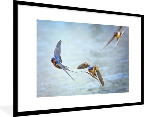 Fotolijst incl. Poster - Zwaluw - Water - Blauw - 90x60 cm ...