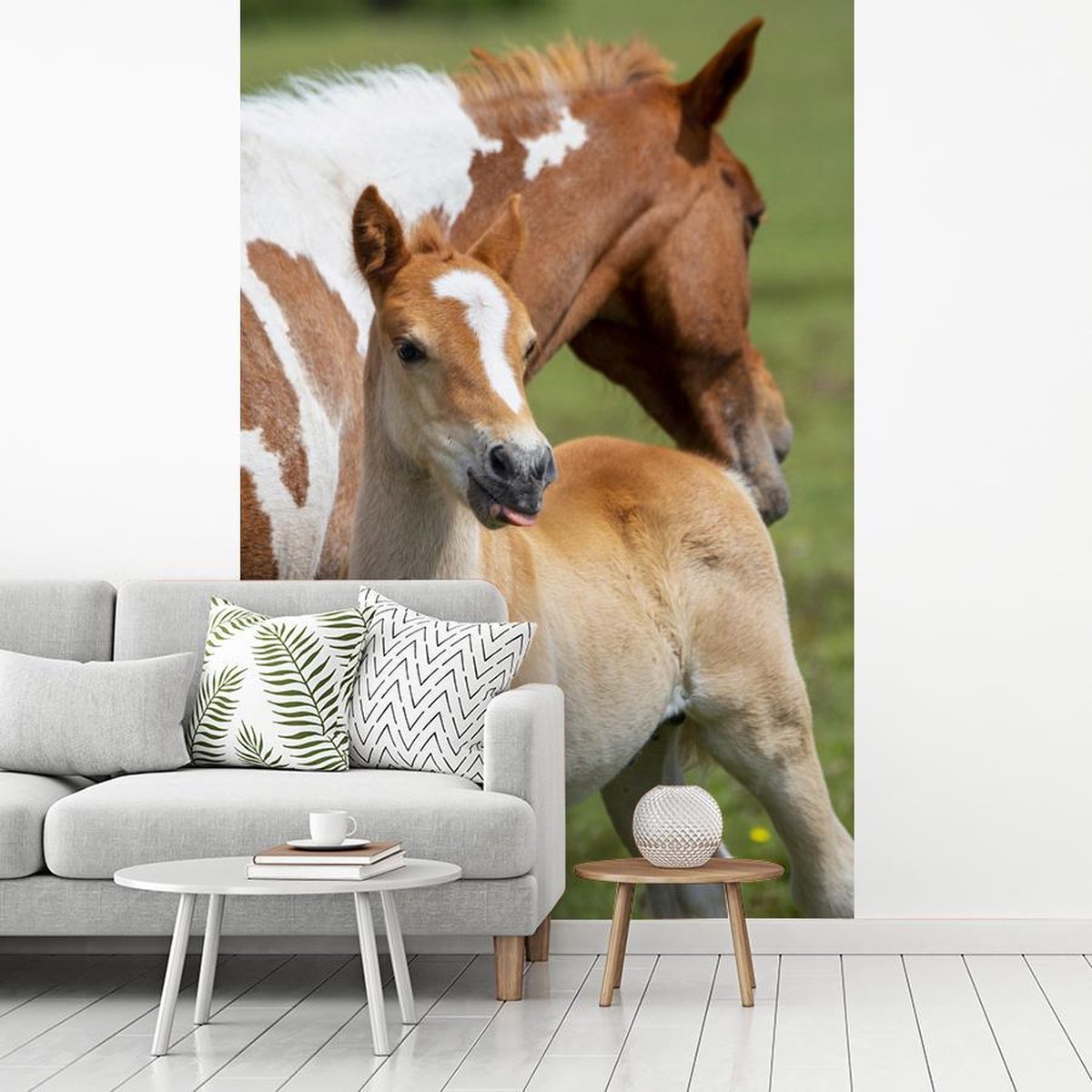 Behang - Fotobehang Paarden - Veulen - Gras - Breedte 195 cm x hoogte ...