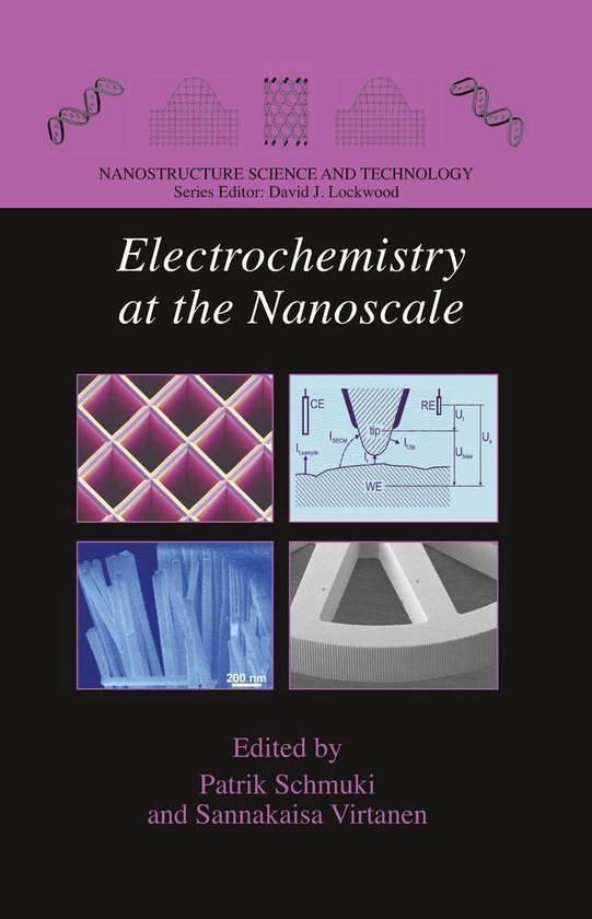 Nanostructure Science and Technology - Electrochemistry at the Nanoscale (ebook),... | bol.com