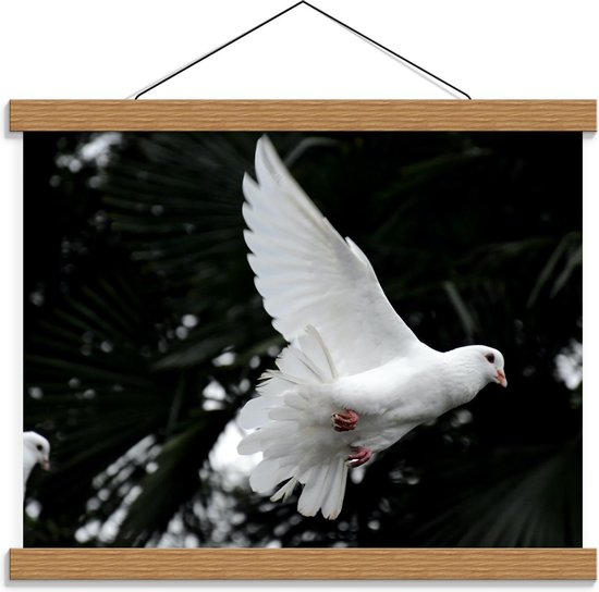 Schoolplaat – Vliegende Witte Duif met Groene Achtergrond - 40x30cm Foto op... | bol