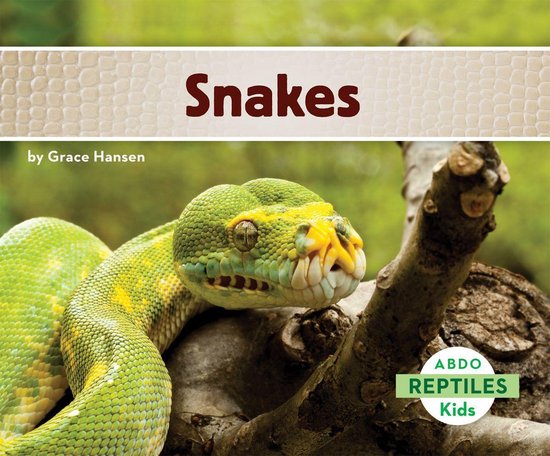 Reptiles - Snakes (ebook), Grace Hansen | 9781629702575 | Boeken | bol