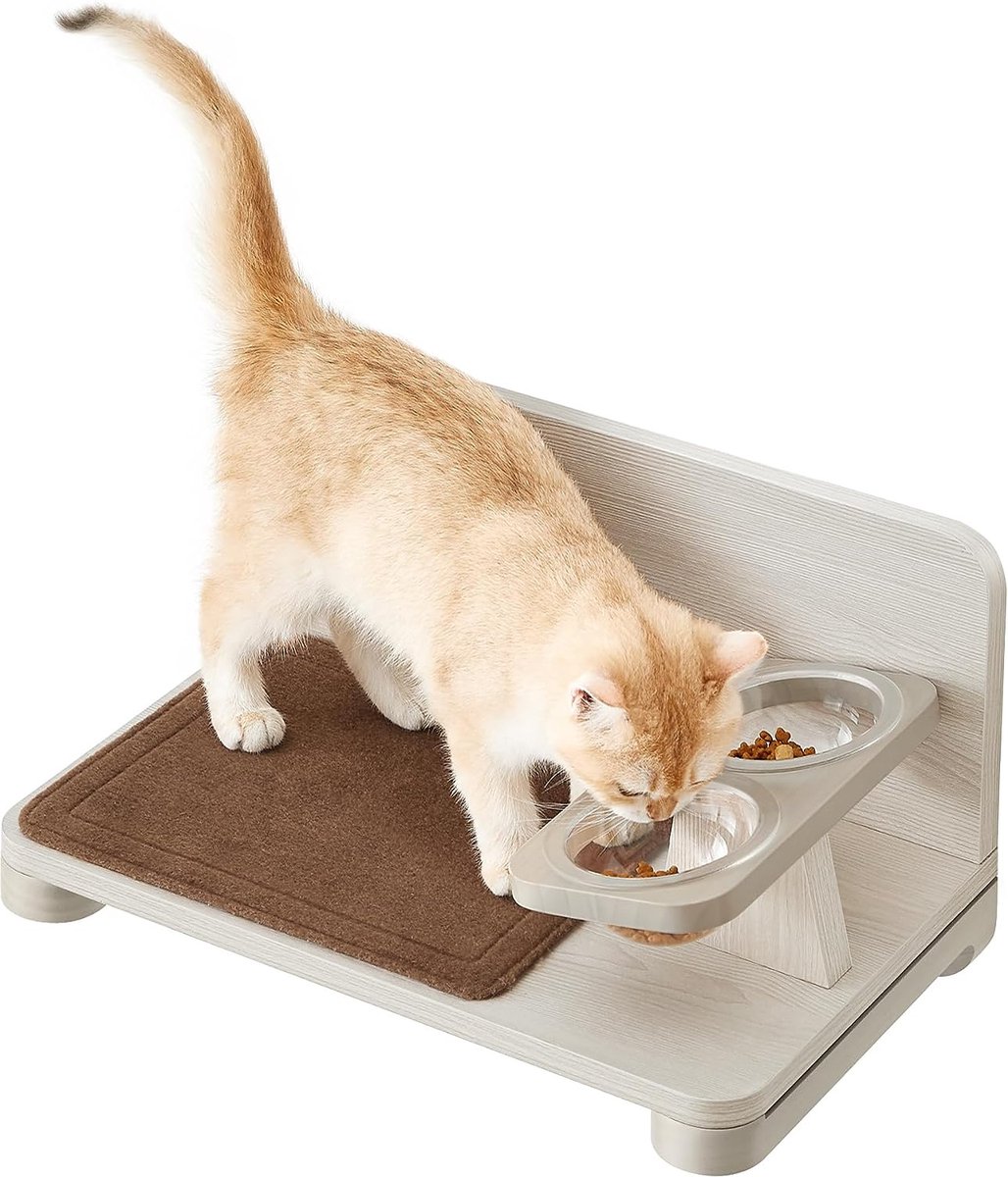 Kattenvoerstation, kattenbak muur, klimwand katten, voederbak verhoogd ...