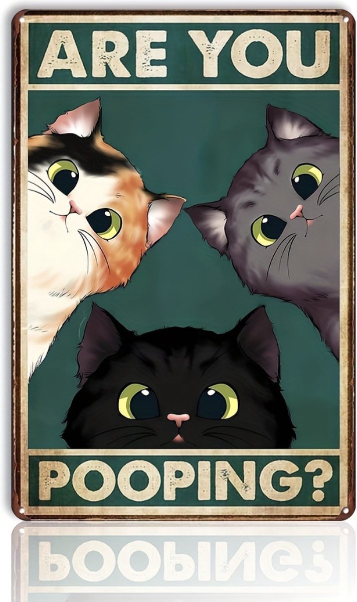 Livano Are You Pooping Cat - Are You Pooping - Have A Nice Poop - Your ...