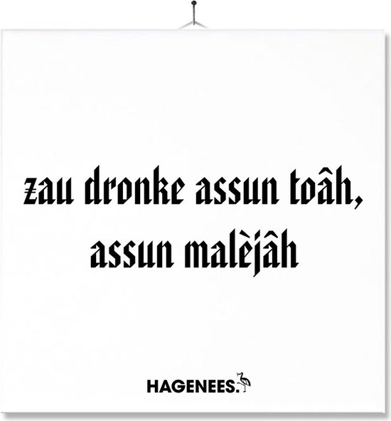 Tegel Met Opdruk | Haagse tekst | bol