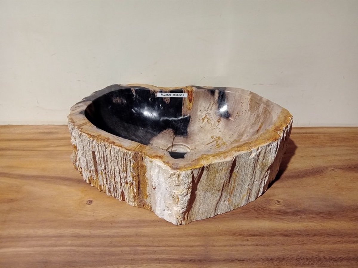 Waskom van versteend hout - 56x43x15cm - FL22126 | bol