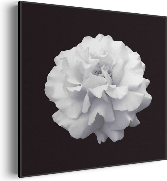 Akoestisch Schilderij Witte Anjer Vierkant Basic L (80 X 80 CM ...