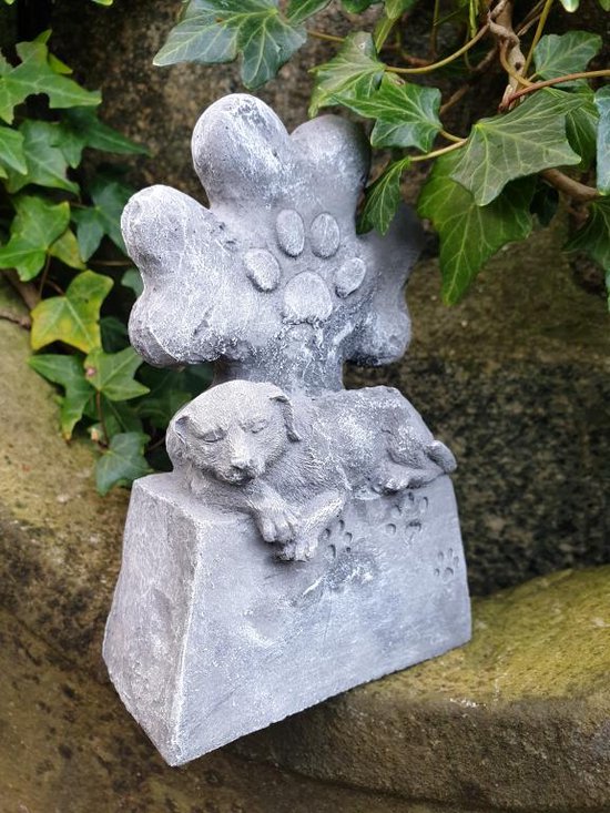 grafsteen ,hond | bol