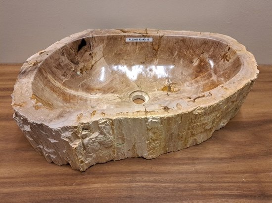 Waskom van versteend hout - 62x42x15cm - FL22800 | bol