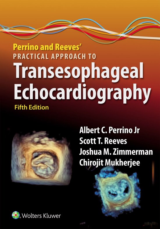 Perrino and Reeves' Practical Approach to Transesophageal Echocardiography (ebook),... | bol