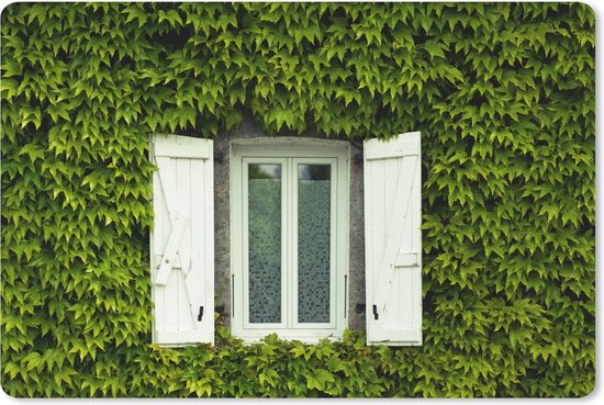 Bureau mat - Raam met luiken tussen de klimplanten - 60x40 | bol.com