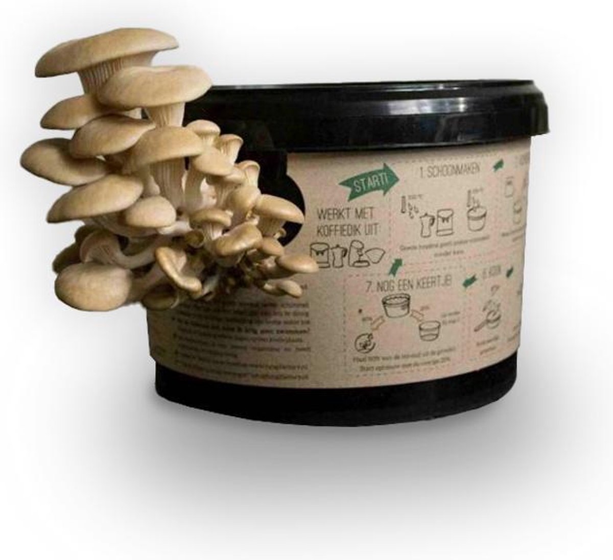 Oesterzwam kweekset Fungi factory | bol.com