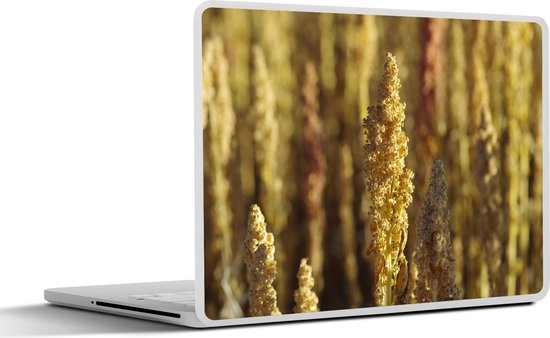 Laptop sticker - 10.1 inch - Plantage met de organische gouden quinoa ...