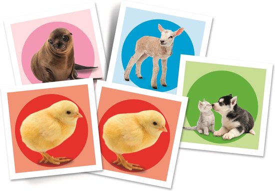 Clementoni - Memory voor kinderen - Baby Dieren - 48 Kaarten - Memory ...