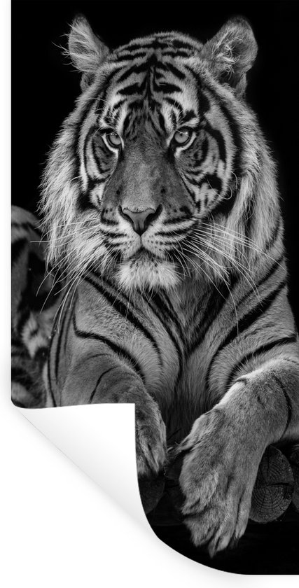 Muurstickers - Sticker Folie - Sumatraanse tijger op zwarte achtergrond in zwart-wit -... | bol